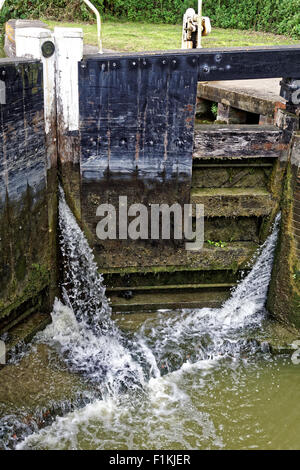 A leaking canal lock with wooden gates overgrown vegetation, situated ...