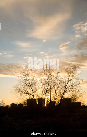 The Magic Hedge area of the beach along Lake Michigan at Montrose ...