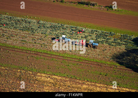 Farmland, Bombay Hills, South Auckland, North Island, New Zealand ...