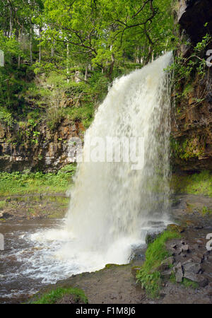 Afon Hepste & Sgwd yr Eira Waterfall Brecon Beacons, Wales Stock Photo ...