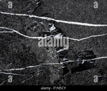 Close up of quartz lines in black metamorphic rock of Rhinns Complex ...