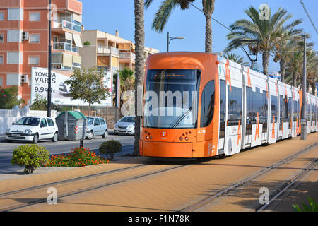 Spanish tram in Campello going towards Alicante, Spain Stock Photo - Alamy