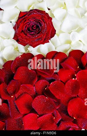 Valentine's Day background with red and white little hearts on pink ...