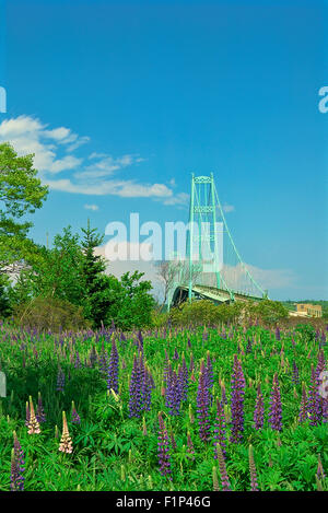 Route 15 Bridge, Deer Isle, Sargentville, Maine, USA Stock Photo - Alamy