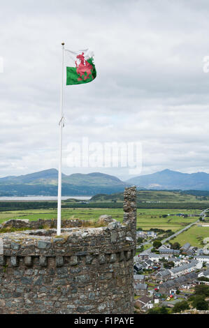 The Welsh flag flies from a tower at Harlech castle Stock Photo - Alamy