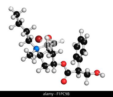 Butylscopolamine (hyoscine butylbromide scopolamine butylbromide ...