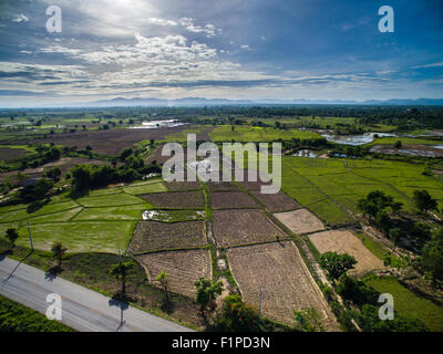 Rice field from drone. Top view. Nature green background Stock Photo ...