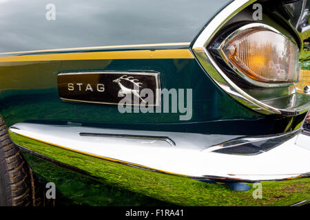 triumph stag badge Stock Photo: 113112629 - Alamy