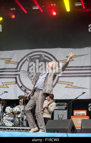 Bob Geldof, Lead singer of Irish rock group the Boomtown Rats, poses ...