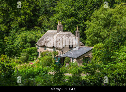 Author Thomas Hardy's cottage at Higher Bockhampton, Dorset Stock Photo ...