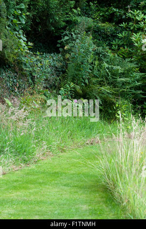 Cut grass path through grassy meadow with wildflowers Seip Earthworks ...