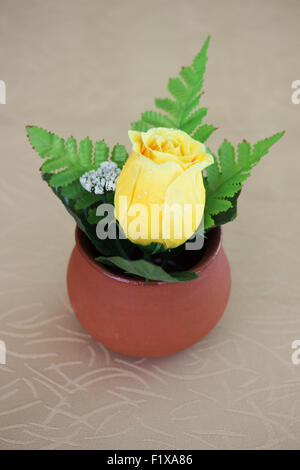 Beautiful yellow roses in pot on chest of drawers near color wall Stock ...