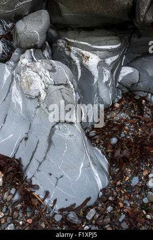 Veined rocks on the beach at Trefin, Pembrokeshire Stock Photo - Alamy