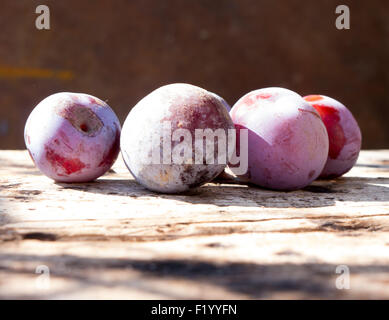 The nature object Plum fruits Stock Photo - Alamy