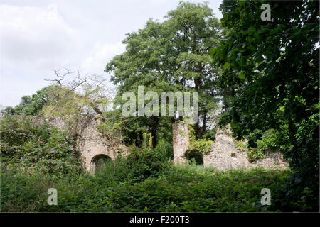 The ruins of Trowse Newton Hall at Whitlingham Country Park near ...