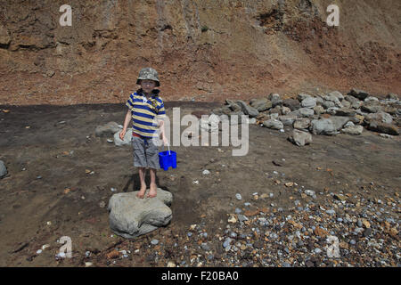 Iguanodon, fossil, footprint, cast, on the ,fossils,beach ,at Compton ...