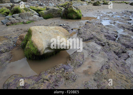 The three-toed footprint of a dinosaur, fossilised and then revealed on ...
