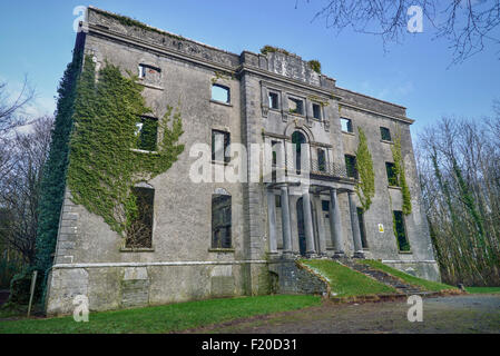 Ireland, County Mayo, Ruins of Moore Hall Stock Photo - Alamy