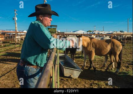 United States, Arizona, Window Rock, Festival Navajo Nation Fair ...
