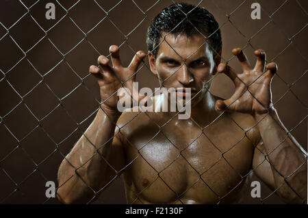 the very muscular handsome felon guy , out of netting steel fence Stock ...