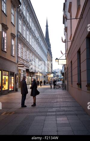 Austria, Upper Austria, Linz, New Cathedral, interior, stained glass window Stock Photo - Alamy