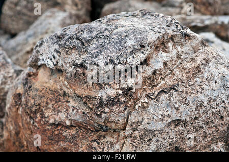 Close up of stromatolites & oncolites fossil records in Otavi ...