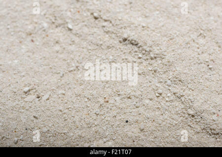 Sand background with small parts of shells and coral Stock Photo - Alamy