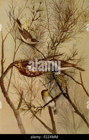 . The Emu : official organ of the Australasian Ornithologists' Union ...