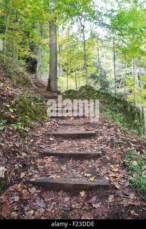 Hemlock Cliffs in Autumn, Indiana Stock Photo - Alamy