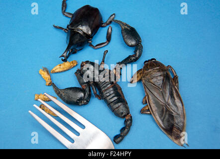 Edible scorpion and other insects, London Stock Photo - Alamy