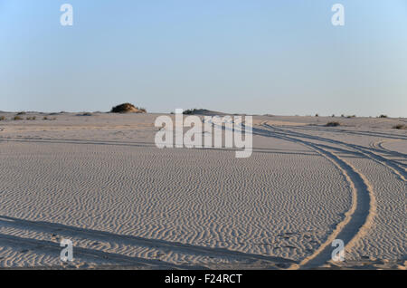 Desert landscape in Doha, Qatar Stock Photo - Alamy