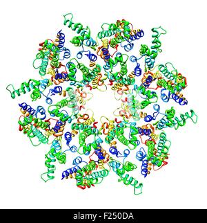 Frontal view of a molecular representation of an immature human immunodeficiency virus type 1 ...
