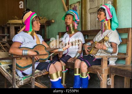 Kayan woman playing string musical instrument, Loikaw, Myanmar Stock ...