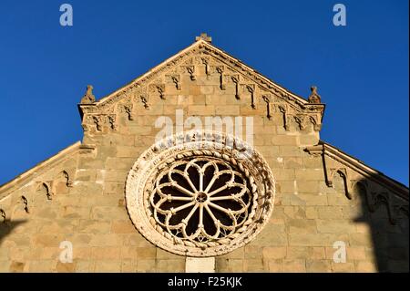 Close up of a rose, Cinque Terre National Park, La Spezia, Liguria ...