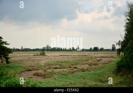 Dry grasslands occur from disposal of Industrial waste and old oil to ...