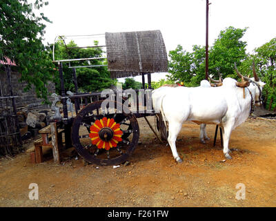 Bullock cart, India Stock Photo - Alamy
