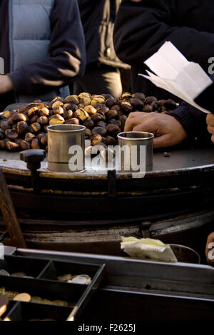 Open husk and sweet chestnuts inside isolated on gray slate background ...