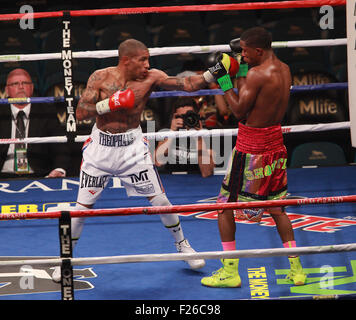 The boxer Ashley Theophane Stock Photo - Alamy