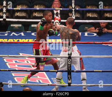 The boxer Ashley Theophane Stock Photo - Alamy