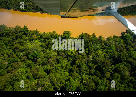 A plane flying over the Amazon rainforest looking down on a meandering ...