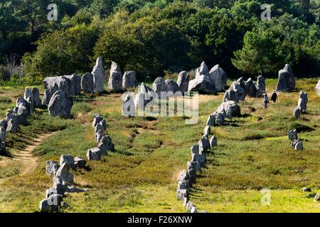France, Brittany, Neolithic megaliths of Carnac Stock Photo - Alamy