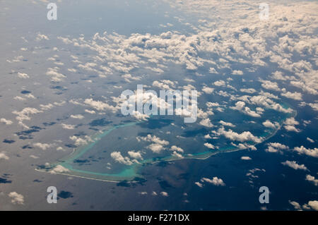 Coral Reef, Osprey Reef, Coral Sea, Australia Stock Photo - Alamy