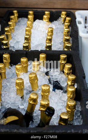 Bottles of sparkling wine in an ice bucket isolated agaisnt a white ...