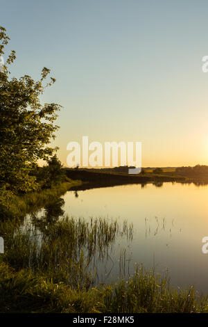 riverside yellow grass countryside fields with bright blue sky at ...