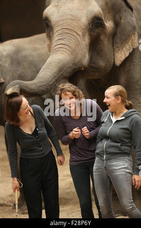 Hanover, Germany. 14th Sep, 2015. Two-month old Asian elephant calf ...