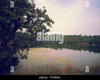Lake at karkala, Mangalore, Karnataka, India Stock Photo - Alamy