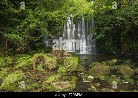 Scale Haw Force Waterfall at Hebden near Grassington, Wharfedale ...