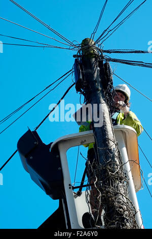 A telecoms engineer fixes wires at the top of a telephone poll ...