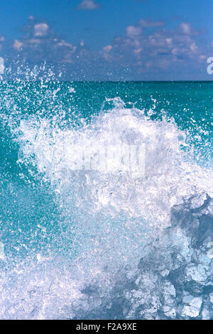 blue in mexico froath and blue foam the sea drop sunny day wave Stock ...