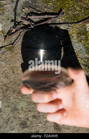 Boy Starting a Fire with a Magnifying Glass Stock Photo - Alamy